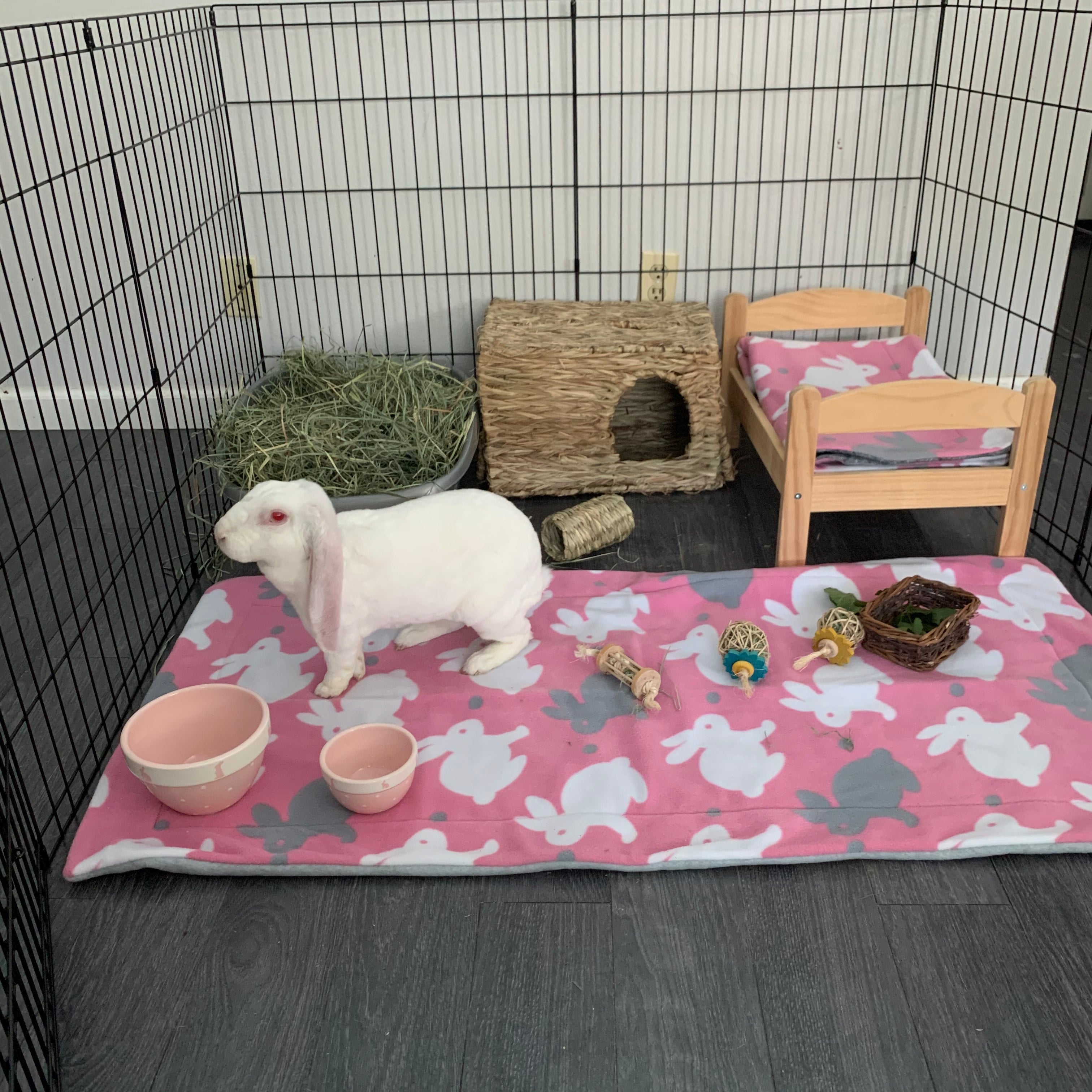 Rabbit Exercise Pen | Bunny Bunch Boutique