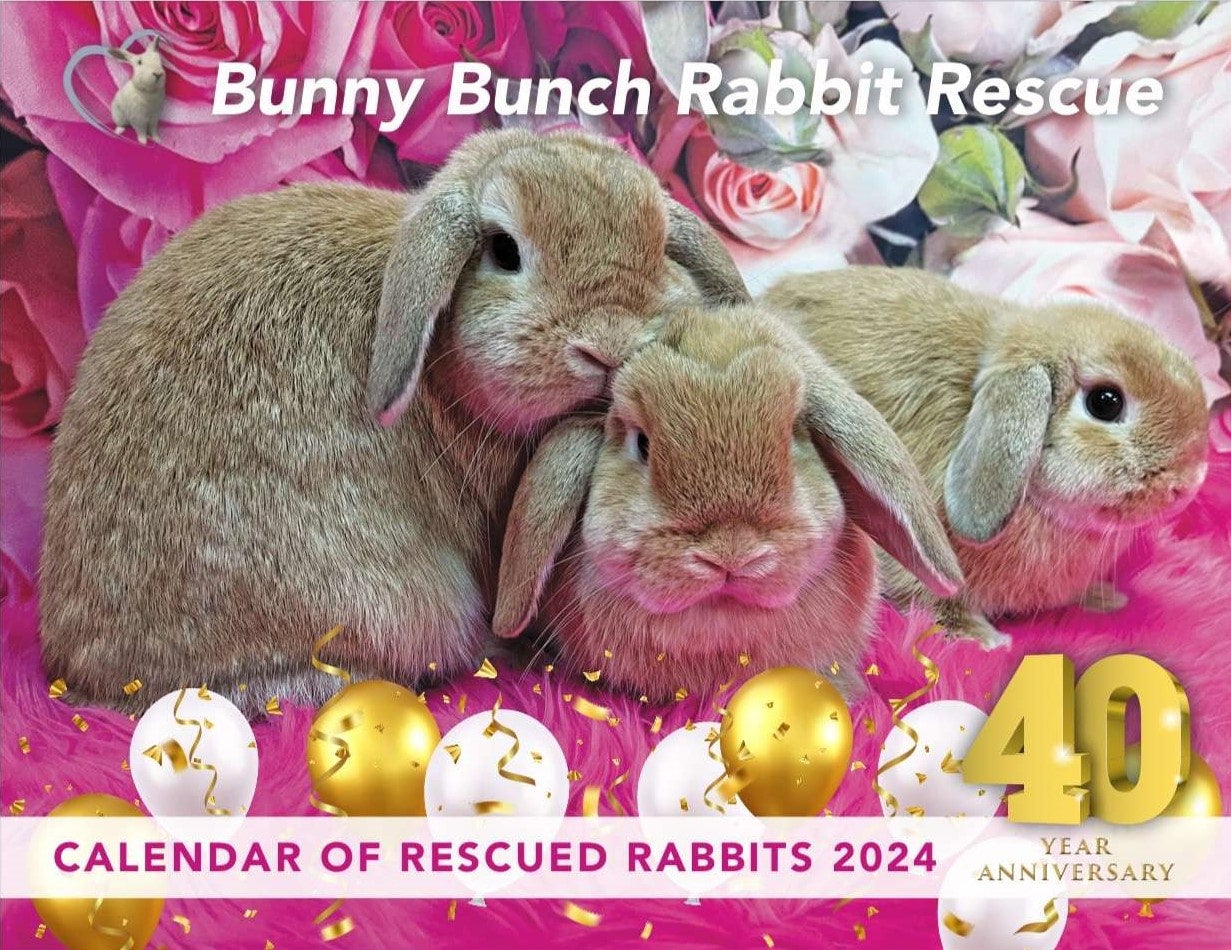 Rabbit Calendar | Bunny Bunch Boutique